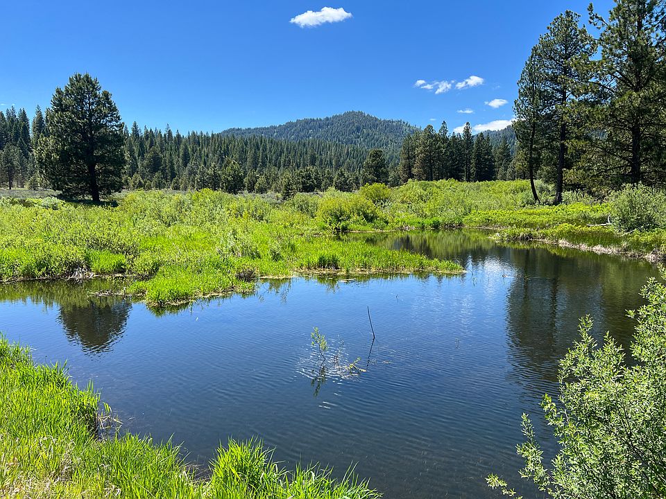 Trail Creek Meadows by Triple Creek Reserve in Placerville ID | Zillow