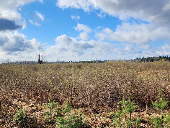 0 W Main St, Twining, MI 48766 | MLS #1921346 | Zillow