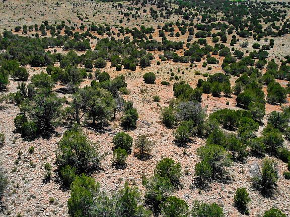 15-2C-1 Unnamed Rd, Seligman, AZ 86337 | MLS #1065067 | Zillow