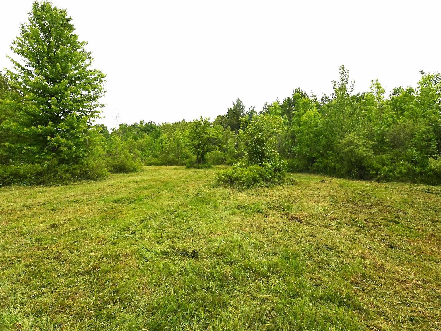 1 Alabaster Rd, Turner, MI 48765 | Zillow