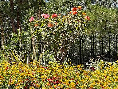 4002 Crown Ranch Rd, Corona, CA 92881 | Zillow