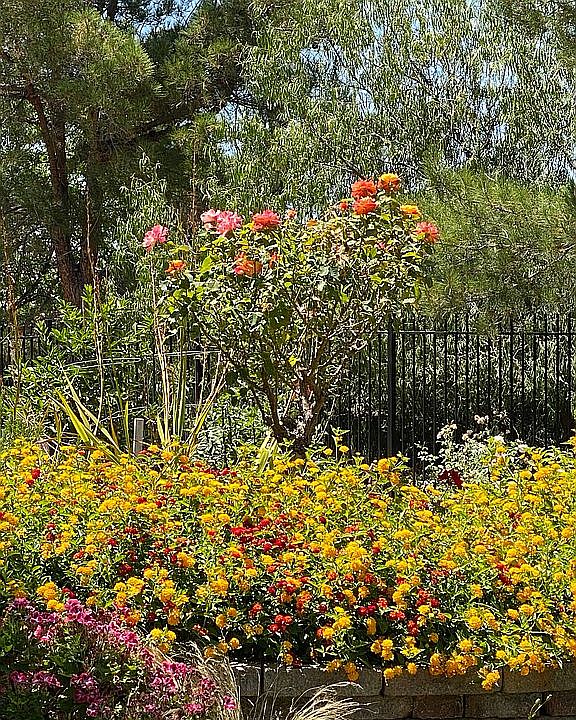 4002 Crown Ranch Rd, Corona, CA 92881 | Zillow