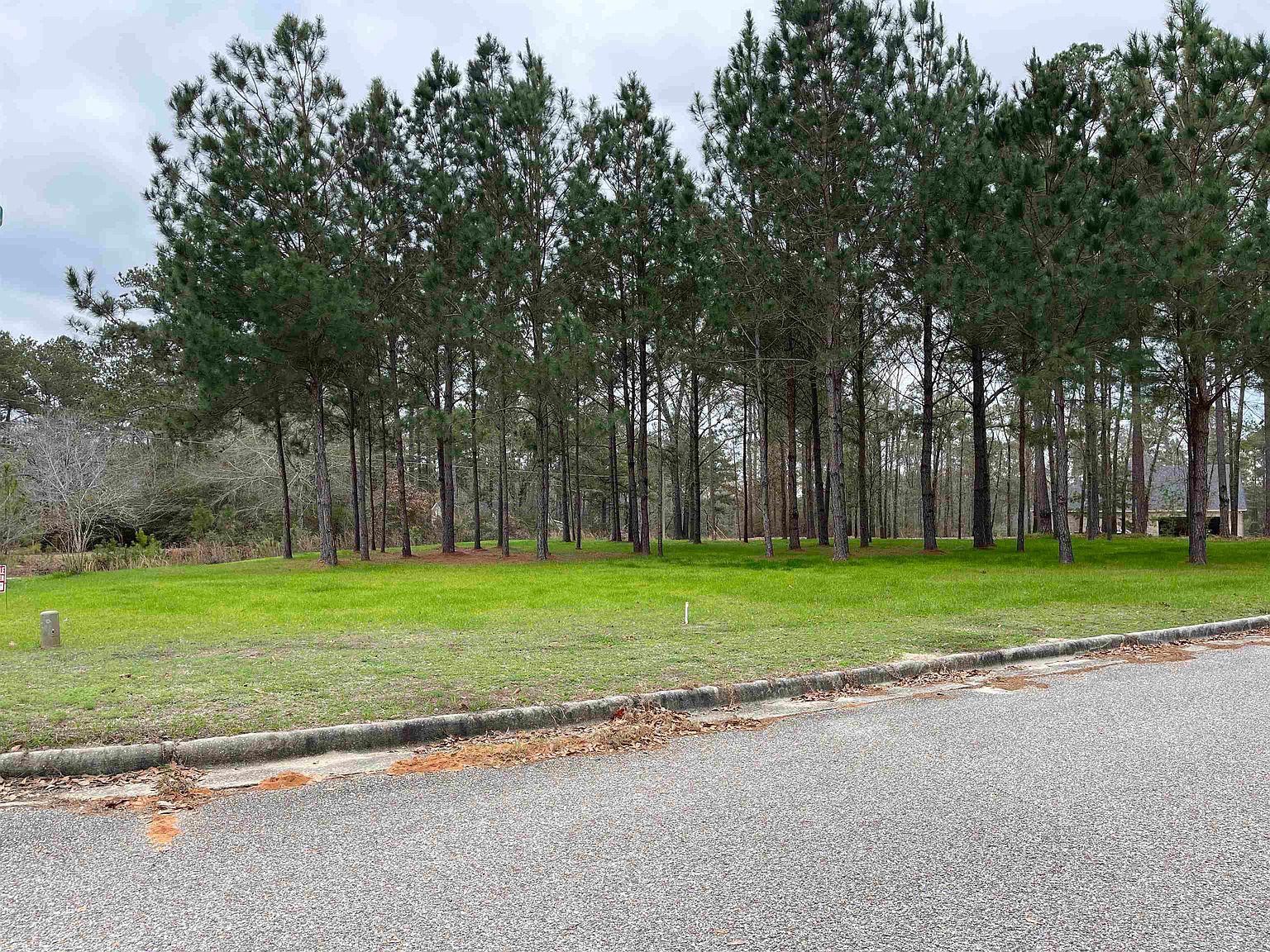 1 Daisy Lane Easley Rd, Andalusia, AL 36420 | MLS #25136 | Zillow