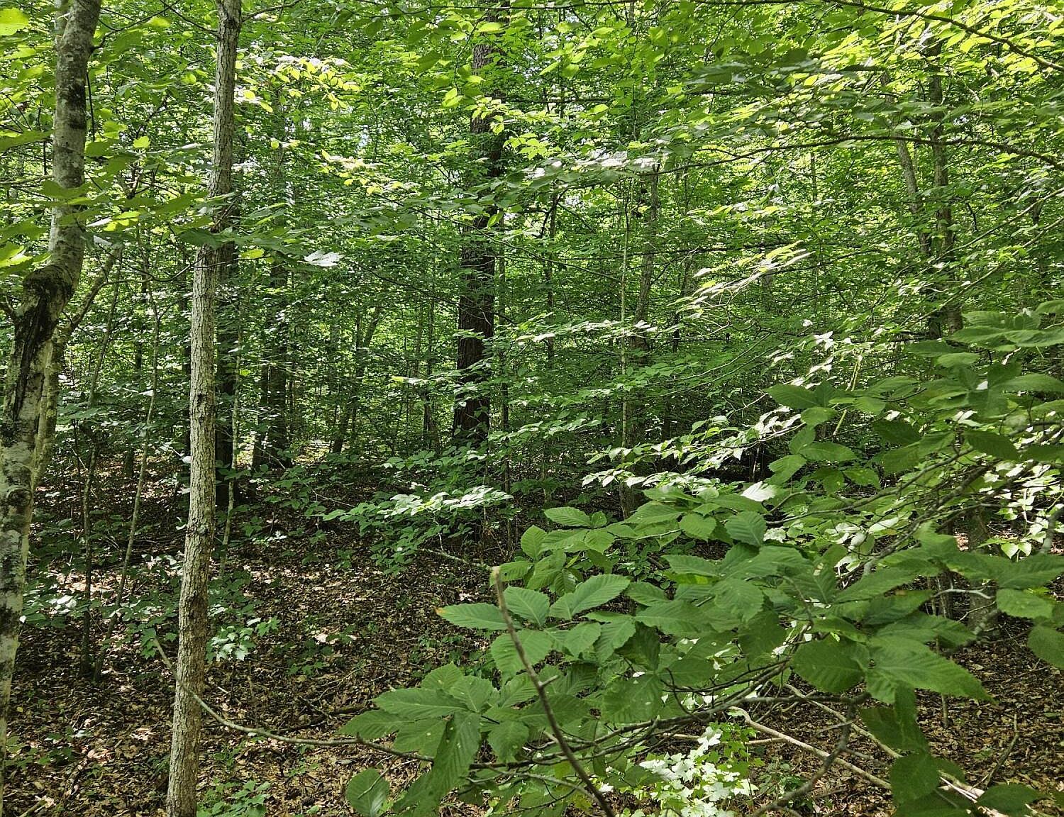 0 Hites Creek Rd, Middleburg, KY 42541 | Zillow