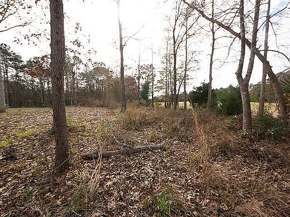 2125 Sewee Indian Ct, Mount Pleasant, SC 29466 | Zillow