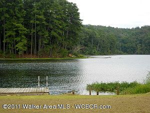 114 Chappell Fish Camp Rd #R, Parrish, AL 35580 | Zillow