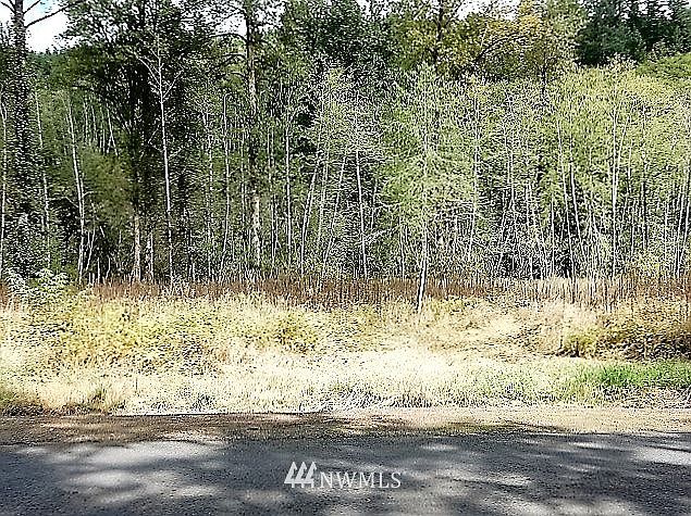 5 Kalama River Road Lot 5, Kalama, WA 98625 | Zillow