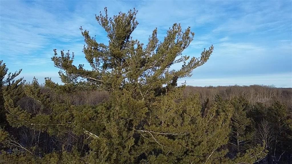 5926 Cr-W, Winter, WI 54896 | Zillow