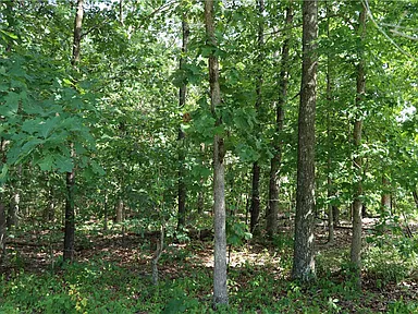 17 Copinsay Dr Bella Vista AR | Zillow