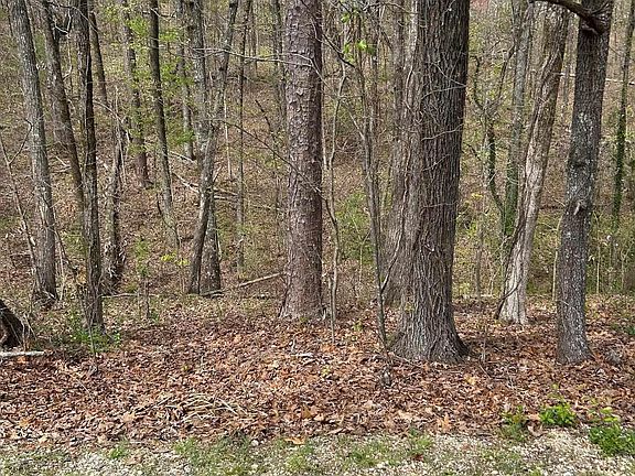 Becky Ln, Gadsden, AL 35907 | Zillow