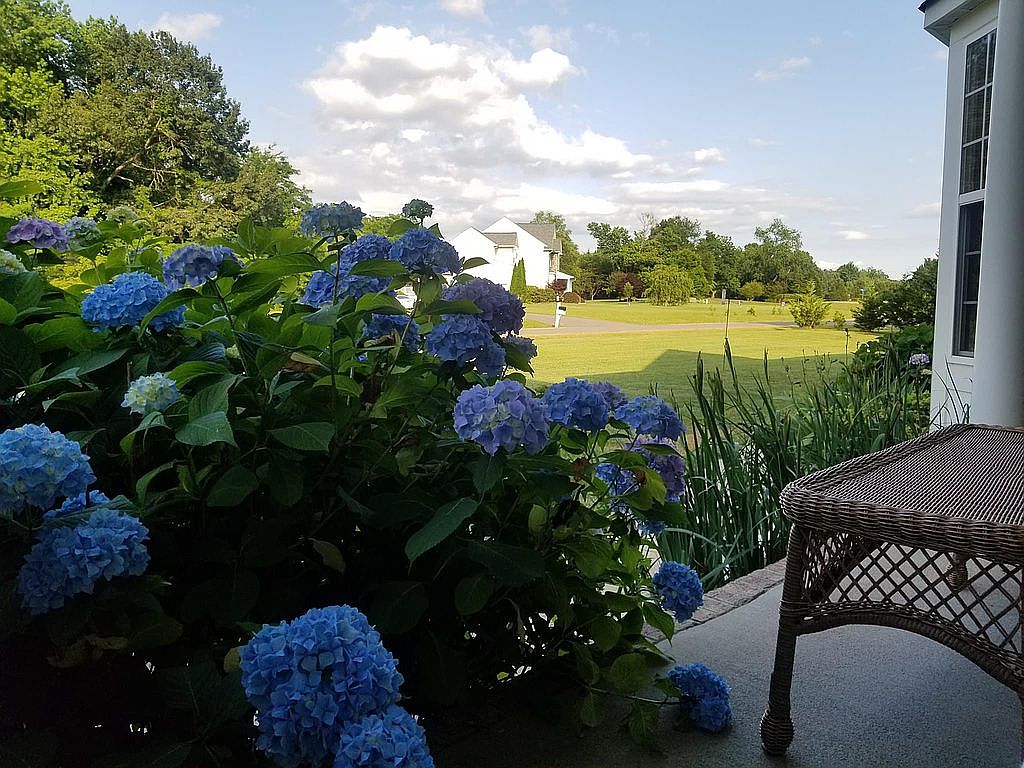 8186 Zepp Dr, King George, VA 22485 | Zillow