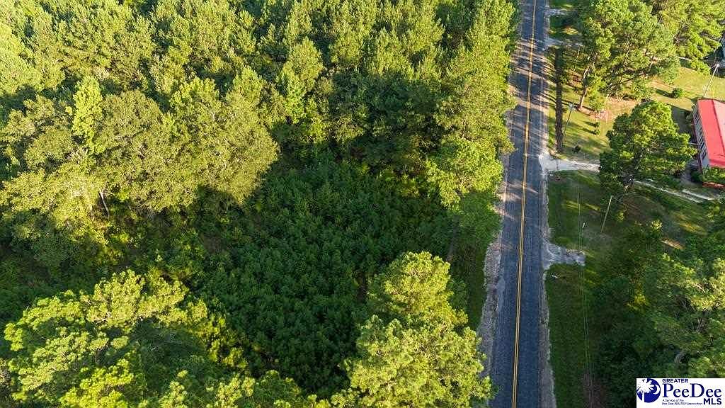 2151 Epps Rd, New Zion, SC 29111 | MLS #20243098 | Zillow