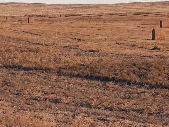 Prairie Dell Rd, Glasgow, MT 59230 | MLS #389994 | Zillow