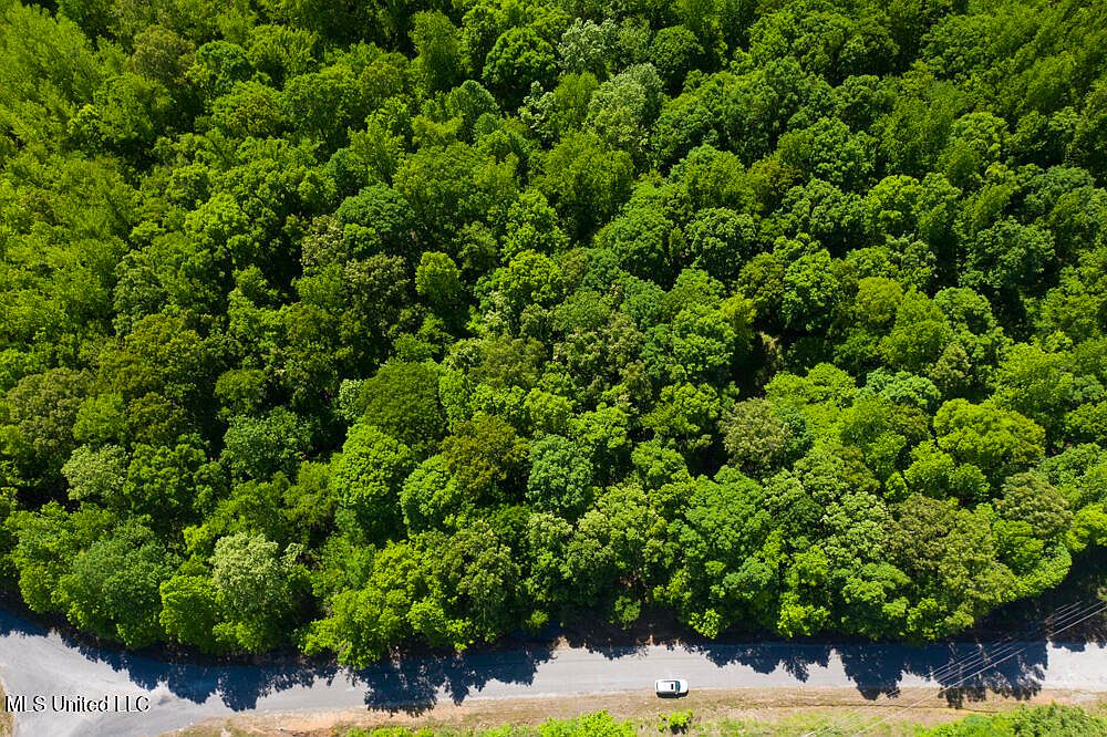 1299 Longtown Rd, Sarah, MS 38665 | Zillow