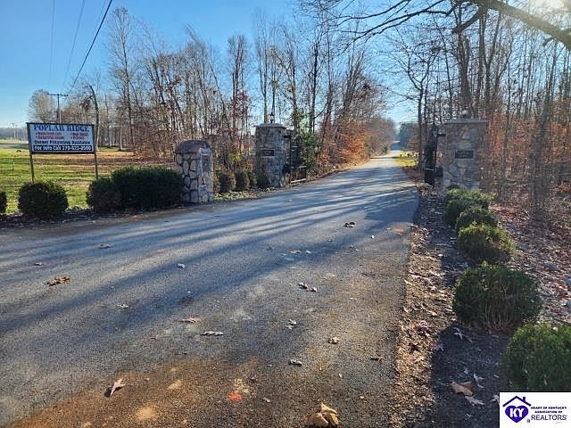 29 Poplar Ridge Rd, Cub Run, KY 42729 | MLS #HK23003999 | Zillow