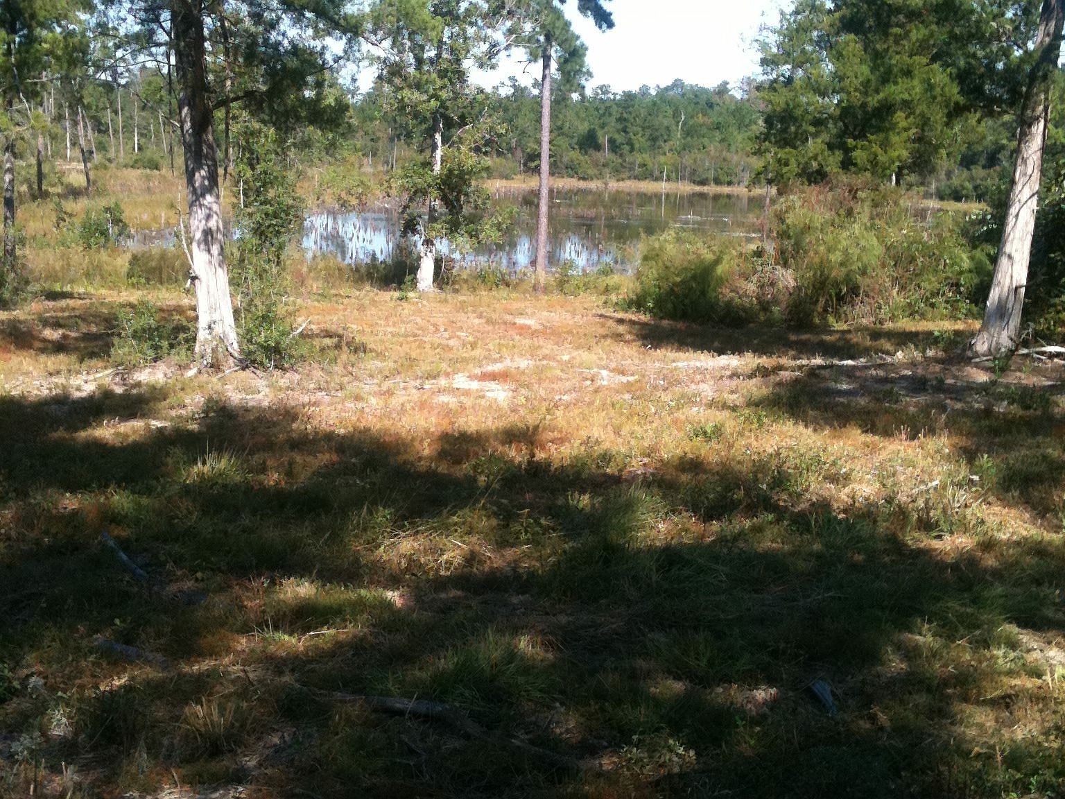 6389 Yellow River Ranch Rd, Florala, AL 36442 | Zillow