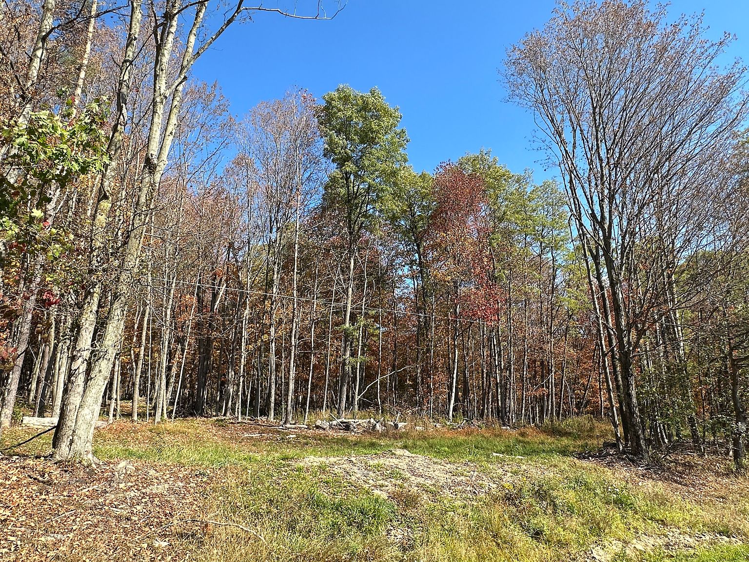 Johnson Hill Rd Lot Iv-4, Swain, NY 14884 | Zillow