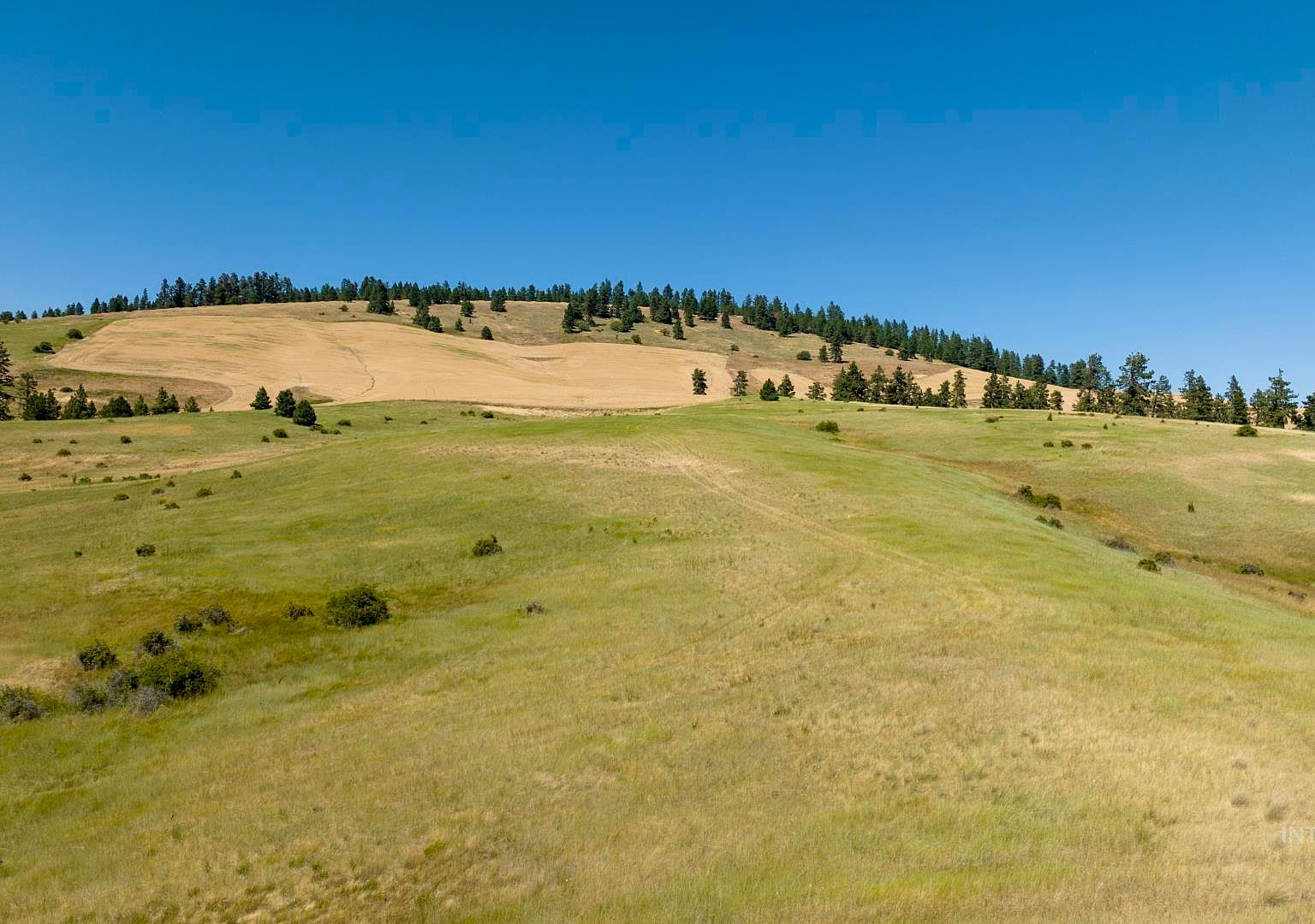 PARCEL 2 Lenville Rd, Moscow, ID 83843 | MLS #98906677 | Zillow