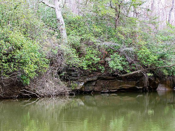 County Road 339 #0, Lynn, AL 35575 | MLS #21379266 | Zillow