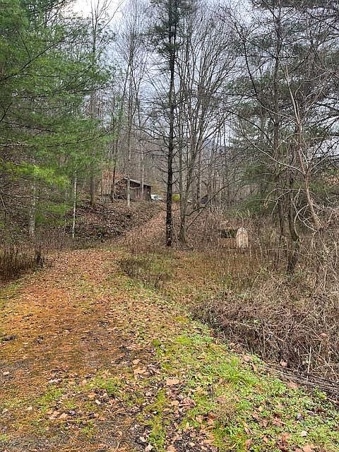 845 Helton Rd, Bledsoe, KY 40810 | Zillow