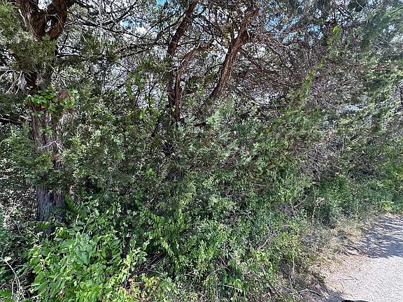 Linda Lee Loop, Whitney, TX 76692 | MLS #20714919 | Zillow