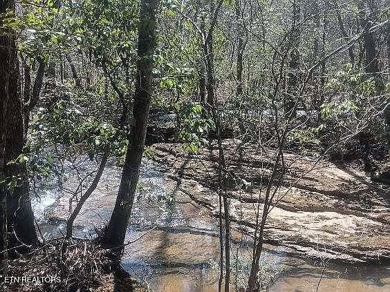 329 Copperhead Rd, Oakdale, TN 37829 | MLS #1295249 | Zillow