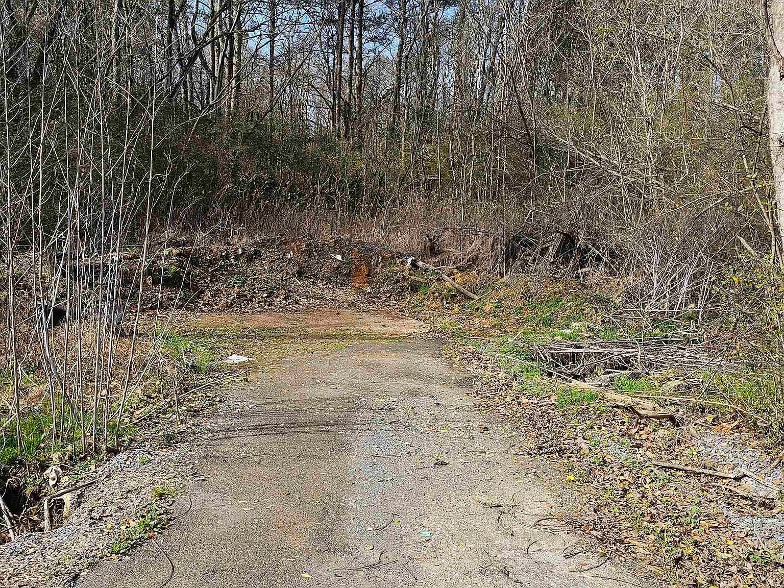 1536 Forrest Dr, Dolomite, AL 35061 | MLS #21408853 | Zillow