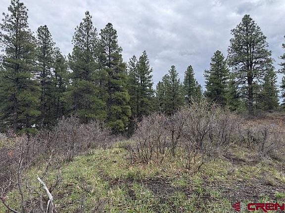512 & 564 Jack Rabbit Road, Pagosa Springs, CO 81147 | MLS #824306 | Zillow