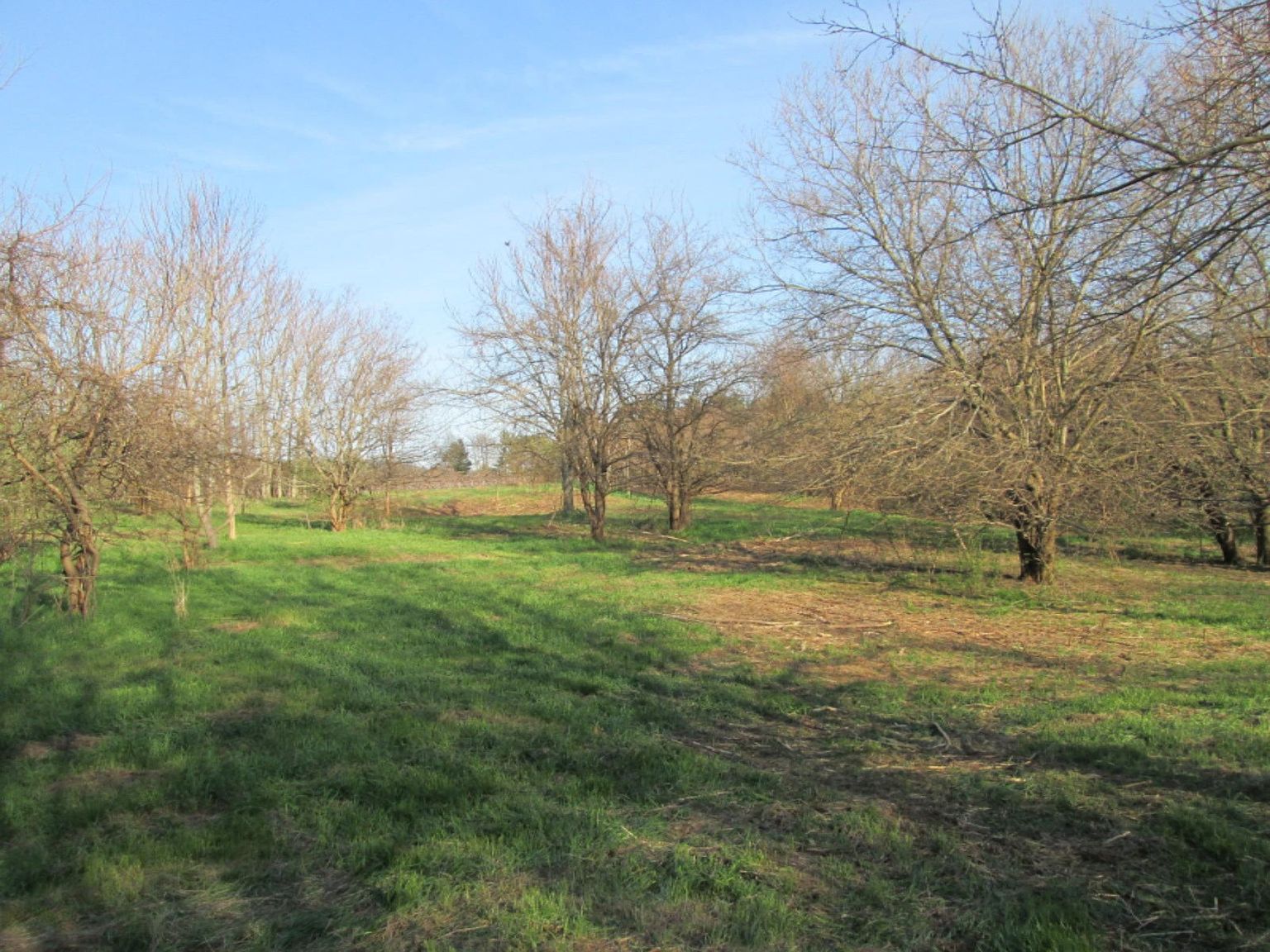 9107 Singer Lake Rd, Baroda, MI 49101 | Zillow