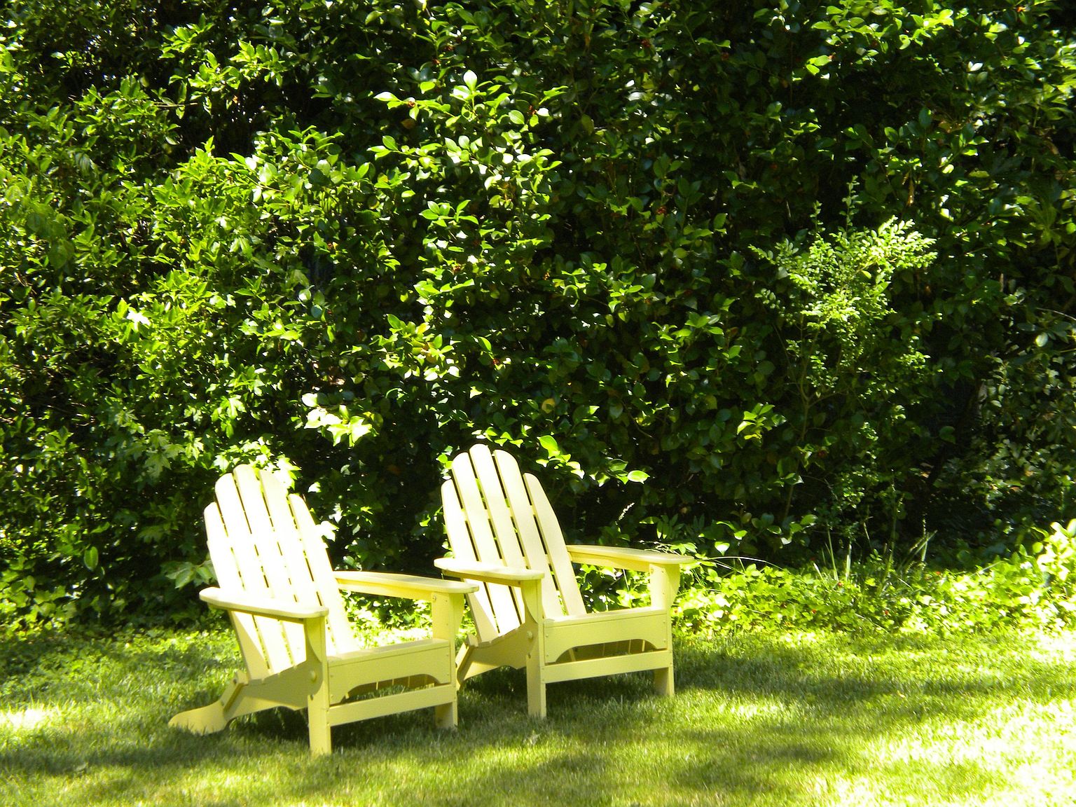 319 Nevada St, Nevada City, CA 95959 | Zillow