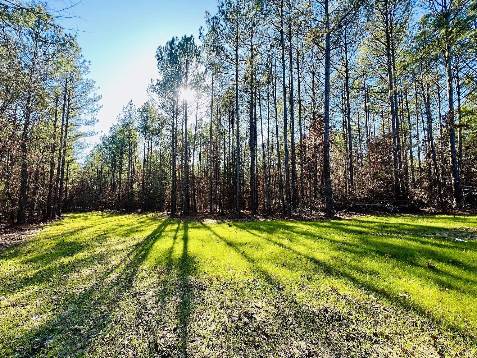 County Road 170, Baldwyn, MS 38824 | MLS #25-269 | Zillow