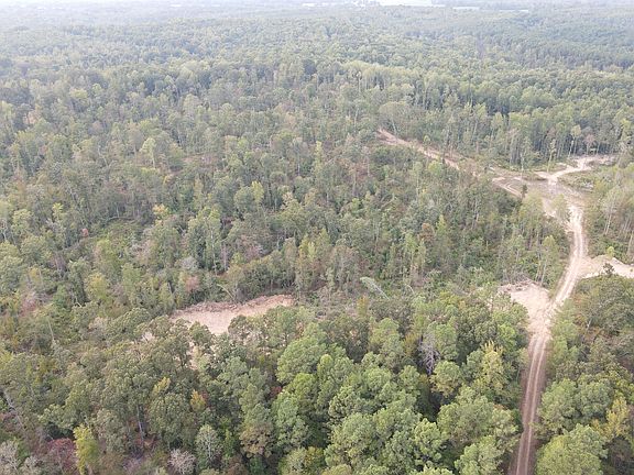 0 Copper Spring Rd LOT 5, Springville, TN 38256 | MLS #2780633 | Zillow