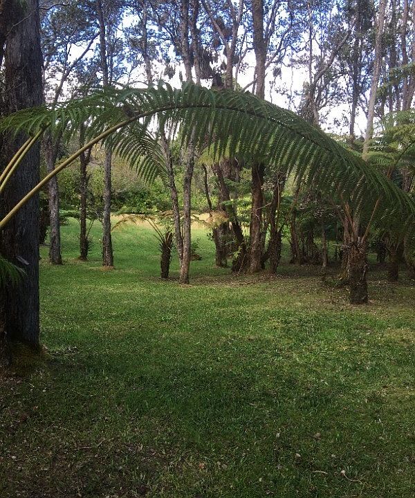 36 Kalani Honua Rd, Volcano, HI 96785 | Zillow