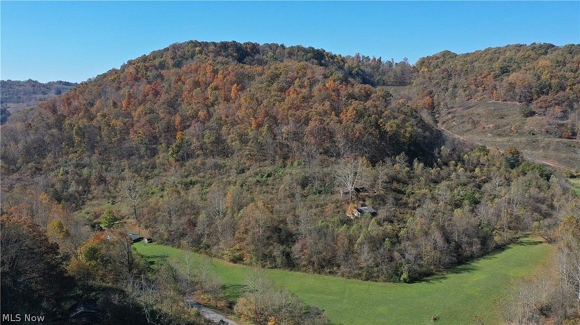 168 Stinson Rd, Chloe, WV 25235 | Zillow