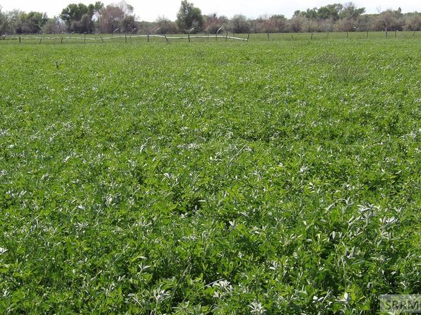 Firth ID Real Estate - Firth ID Homes For Sale | Zillow