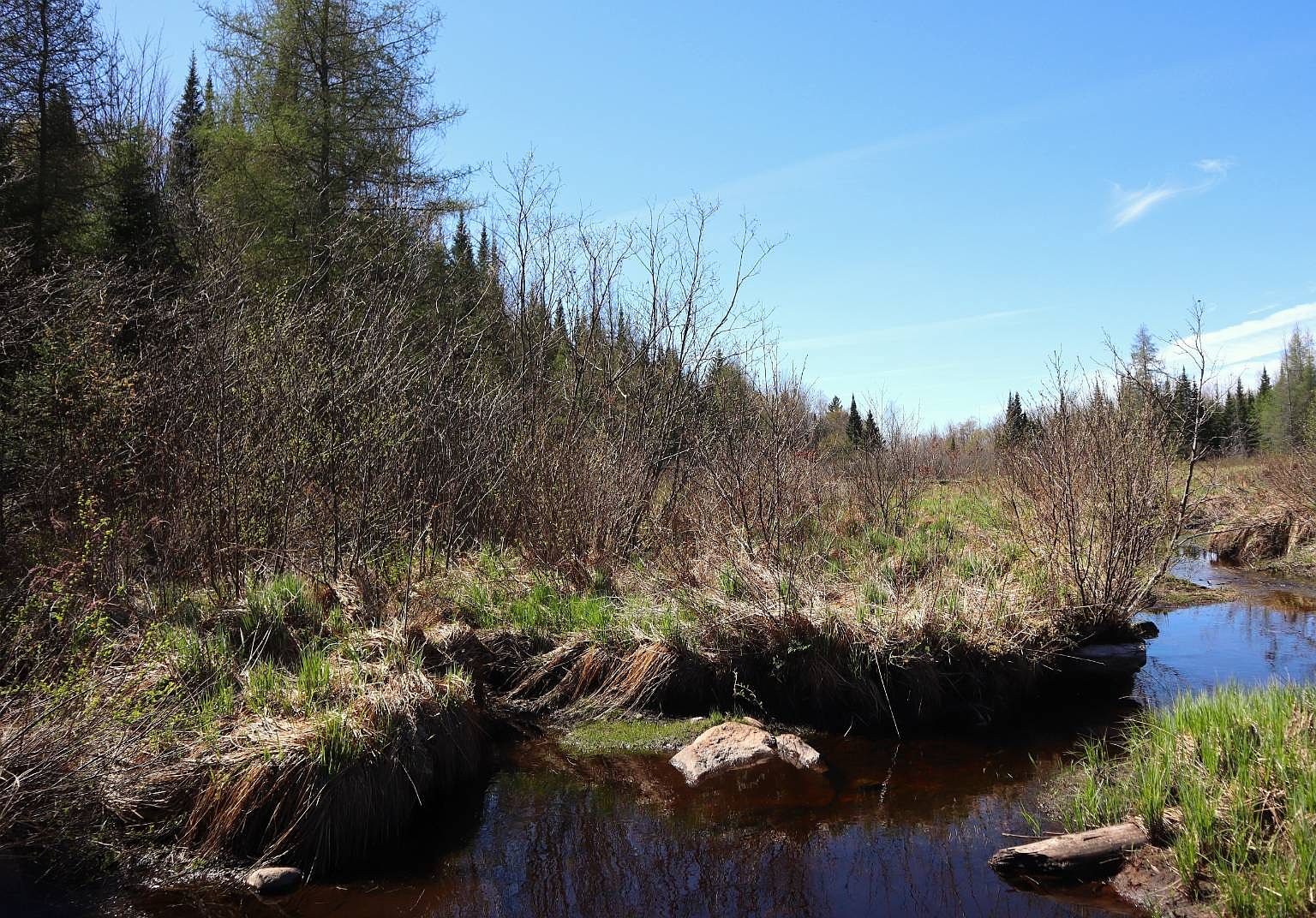 0 Mushtare Rd, Saint Regis Falls, NY 12980 | MLS #11285483 | Zillow 0 Mushtare Rd, Saint Regis Falls, NY 12980 | MLS #11285483 | Zillow