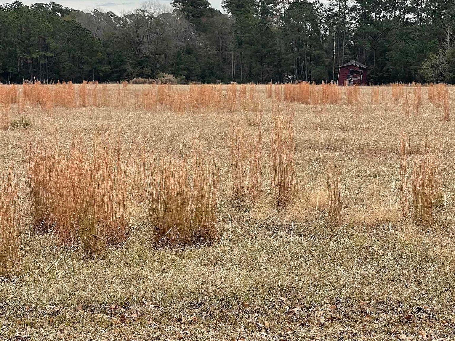 TBD Gurley Rd. UNIT Tract B2, Loris, SC 29569 | MLS #2324335 | Zillow