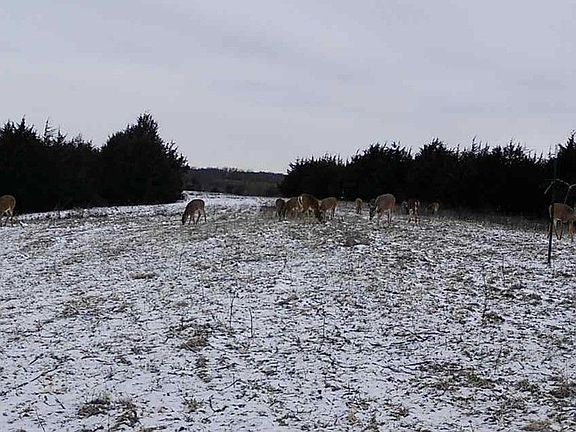 0 Quail Ave, Arispe, IA 50831 | MLS #711813 | Zillow