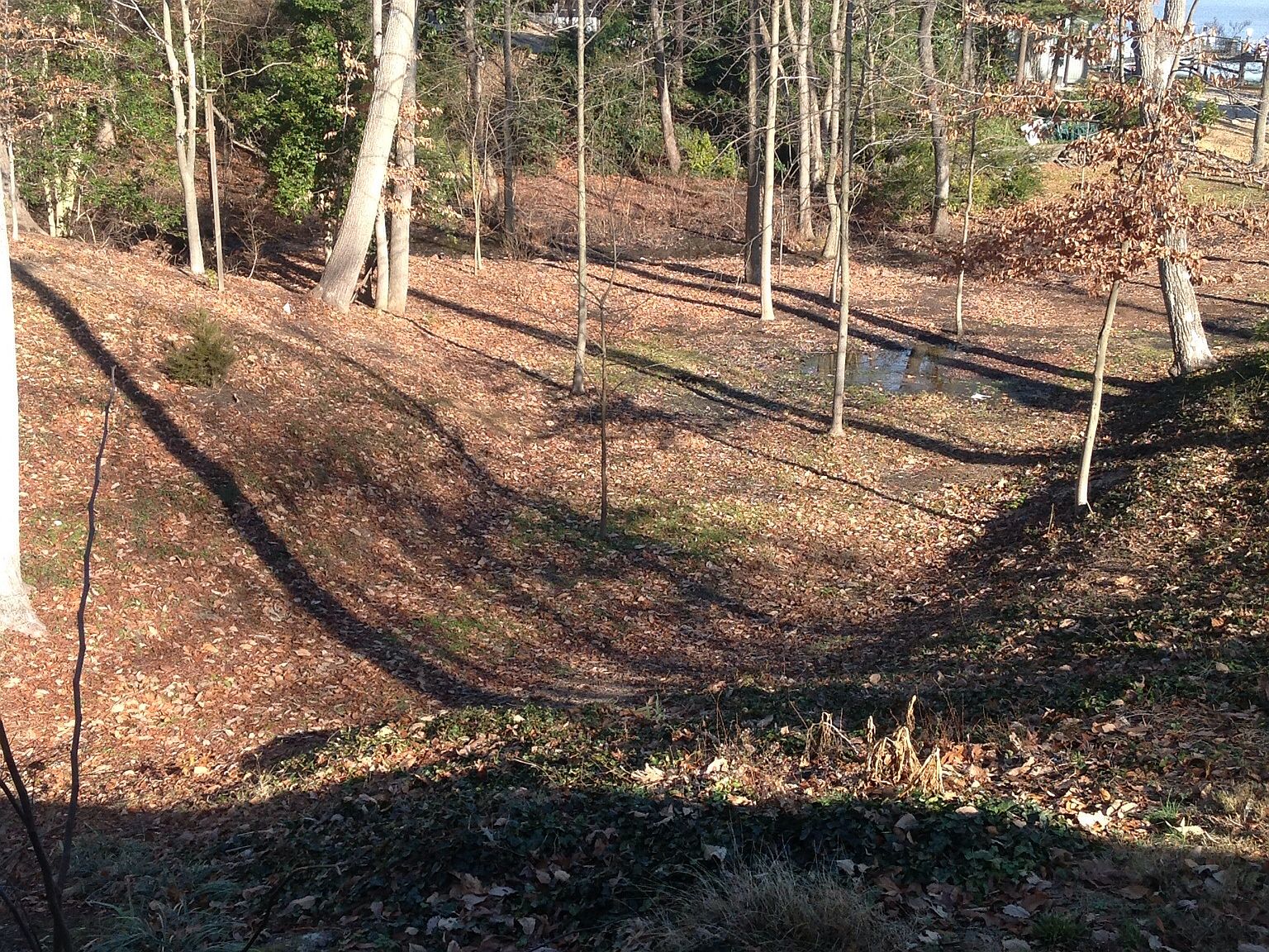 5816 Mallow Trl, Mason Neck, VA 22079 | Zillow