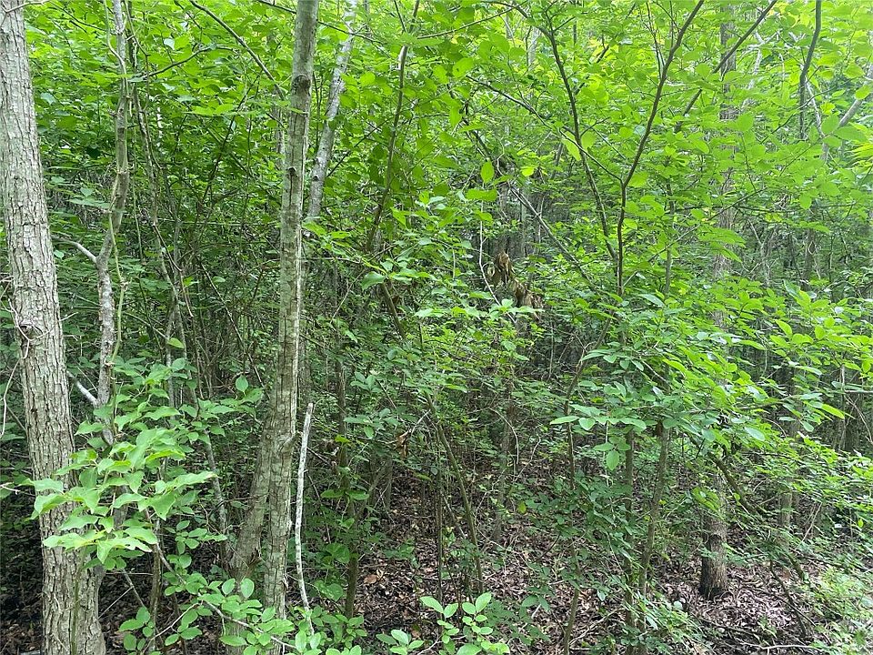 9792 Fm 709 S, Purdon, TX 76679 | MLS #20102719 | Zillow