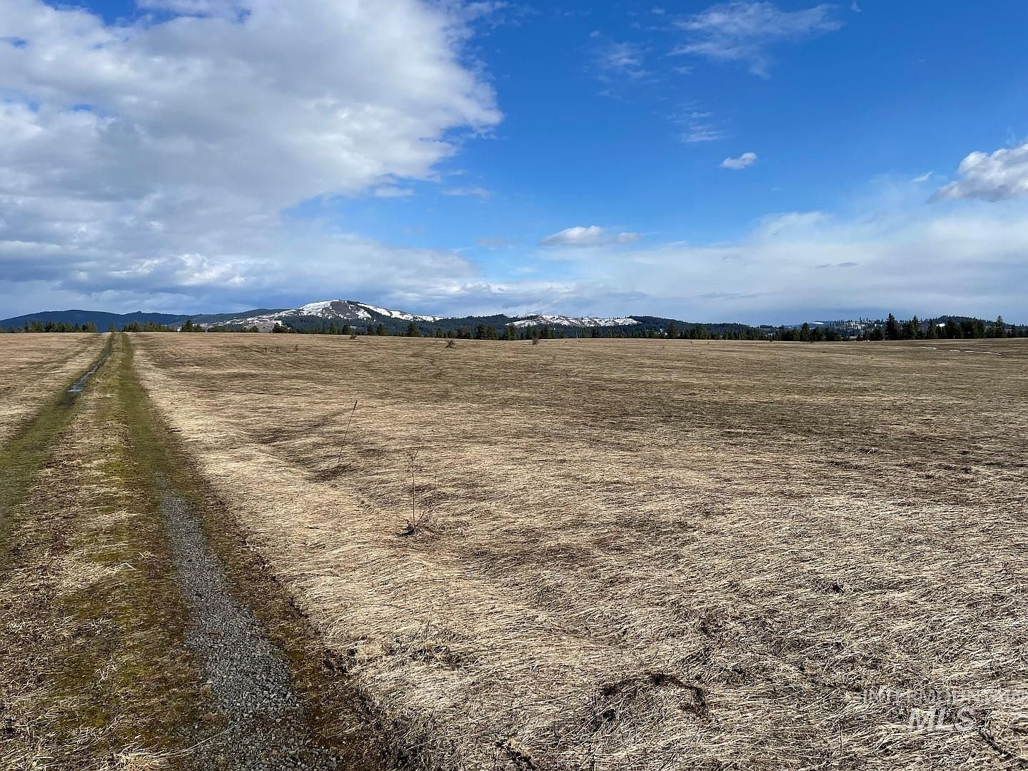 1400 Texas Ridge Rd, Deary, ID 83823 | Zillow