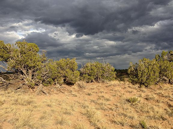 LOT 193 Woodland Valley Ranch St, Saint Johns, AZ 85936 | MLS #249563 ...