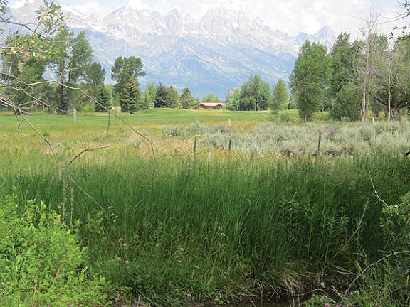 6045 N Spring Gulch Rd, Jackson, WY 83001 | Zillow