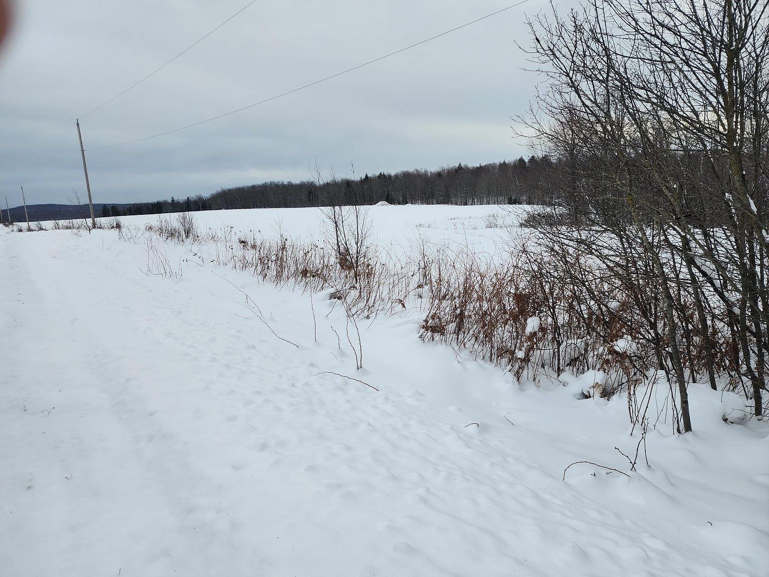 Engstrom Rd, Bruce Crossing, MI 49912 | MLS #210107 | Zillow