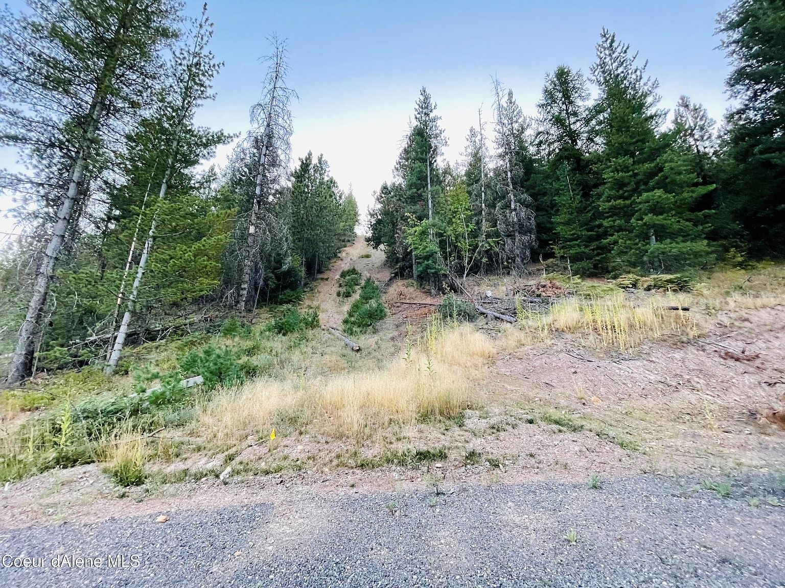 330 Lower Page Rd, Smelterville, ID 83868 | MLS #23-7877 | Zillow