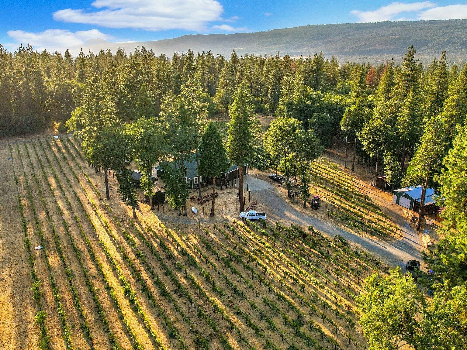 32055 Forwards Mill Rd, Manton, CA 96059 | MLS #25-916 | Zillow