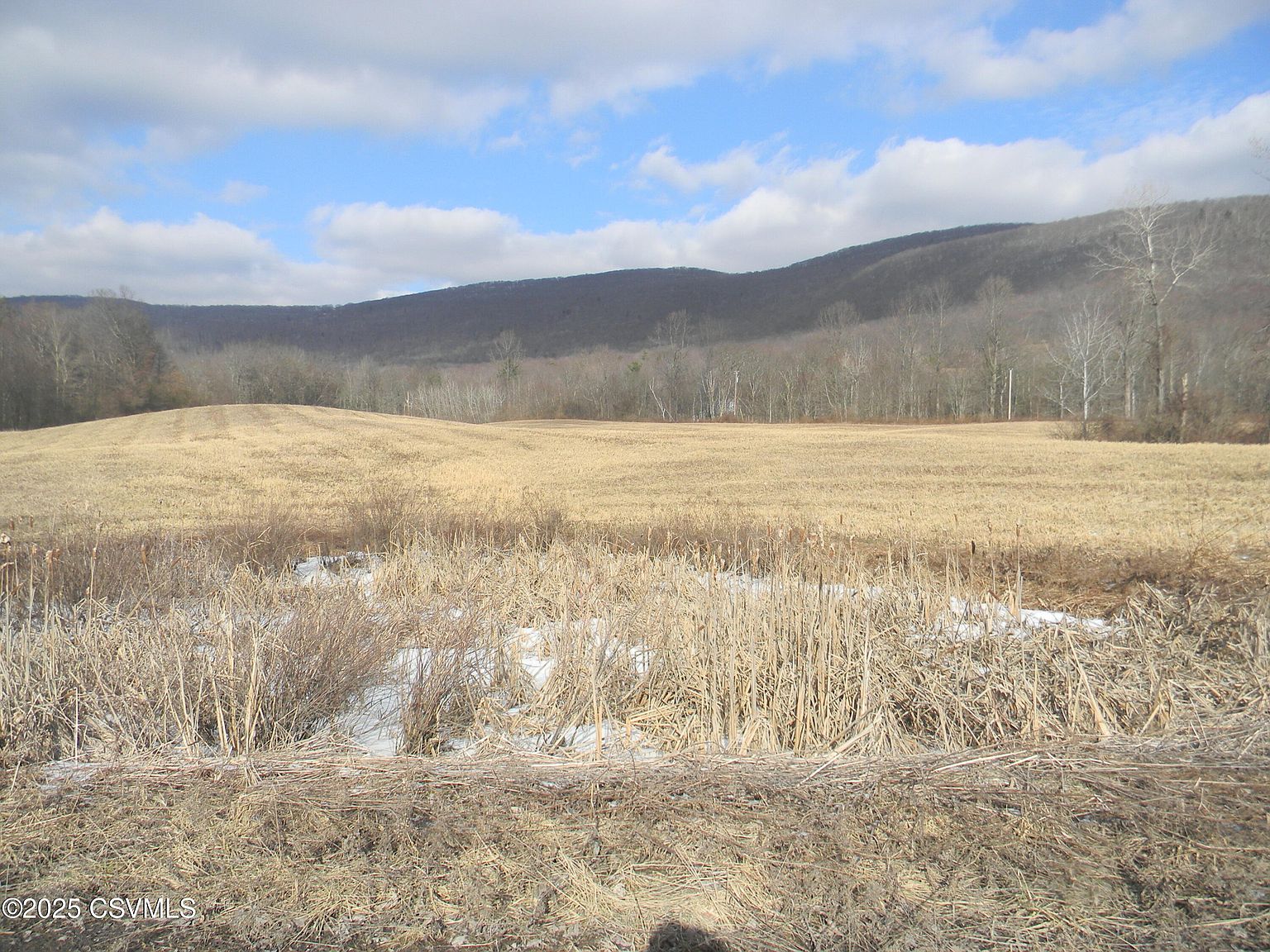 State Highway 42, Unityville, PA 17774 | MLS #20-99166 | Zillow