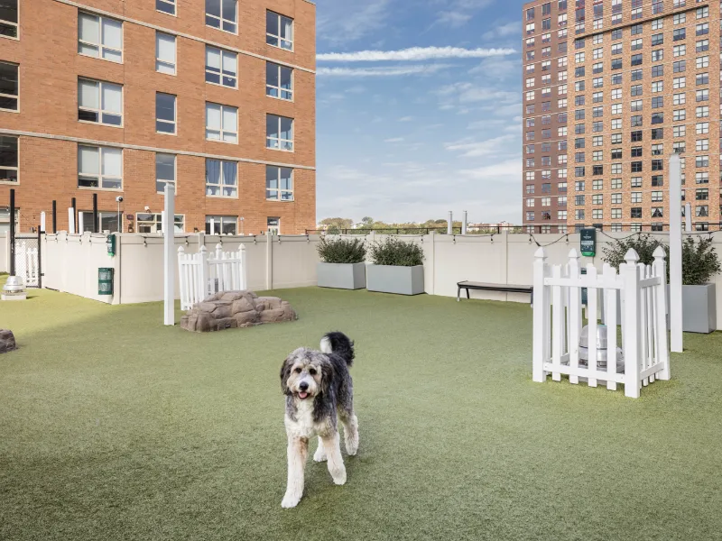 Soho Lofts at 273 16th Street in Historic Downtown : Sales, Rentals ...