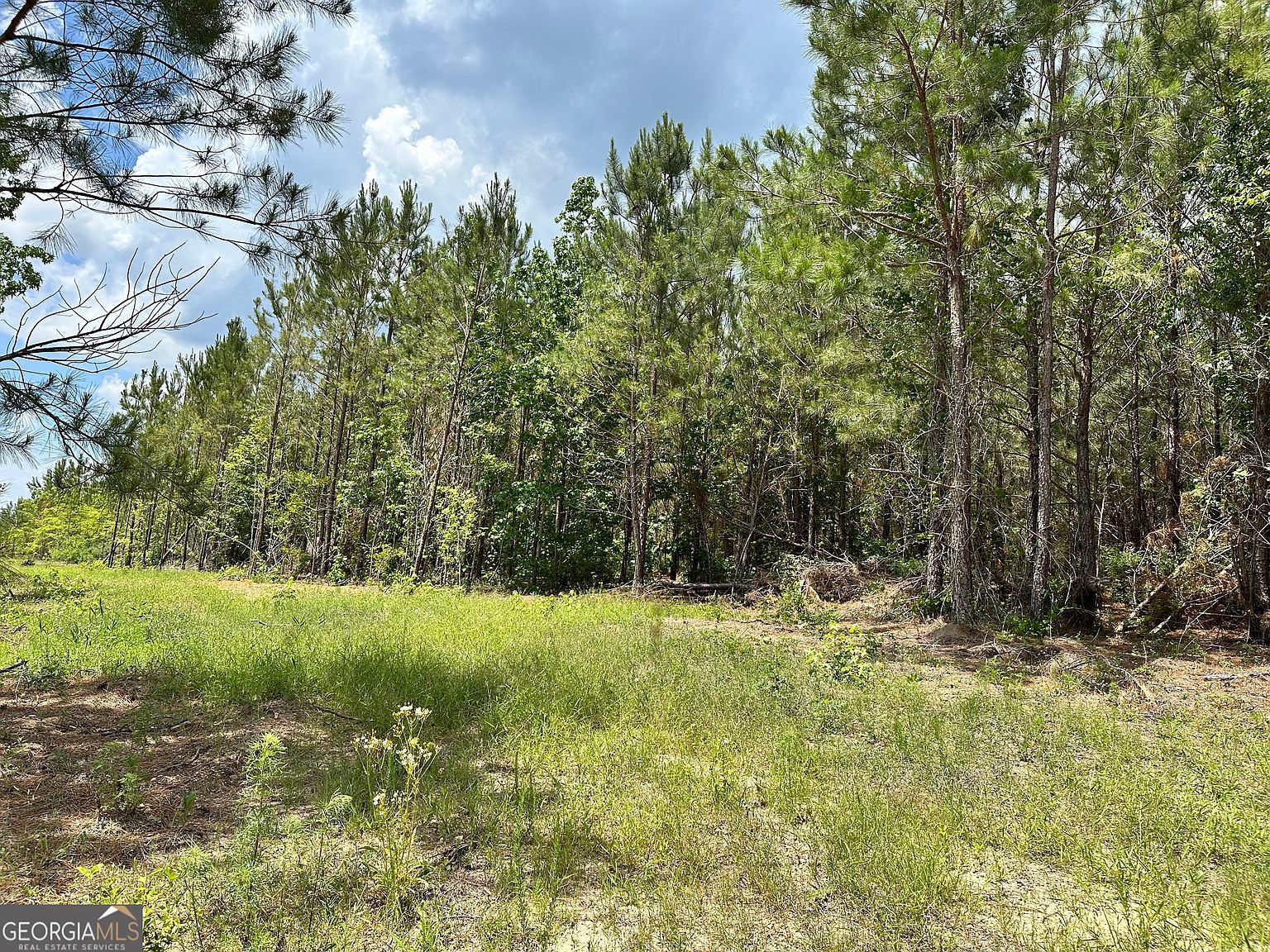 LOT 7.5 State Highway 19, Dublin, GA 31021 | MLS #10520230 | Zillow