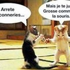 Arkonide Farid Atlan | Zillow